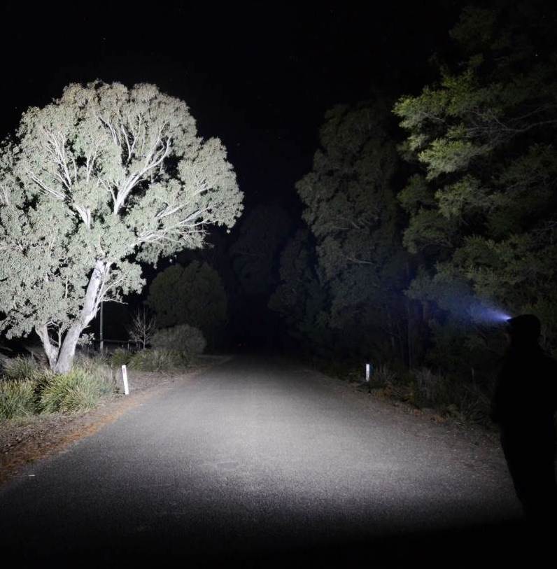 Illuminating Emergency Care: The Role of Torches for Paramedics ...